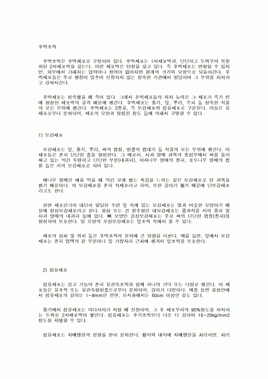 식물의 구조와 후벽조직
