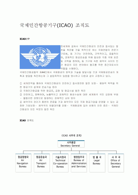 ICAO 조직도 레포트 자료