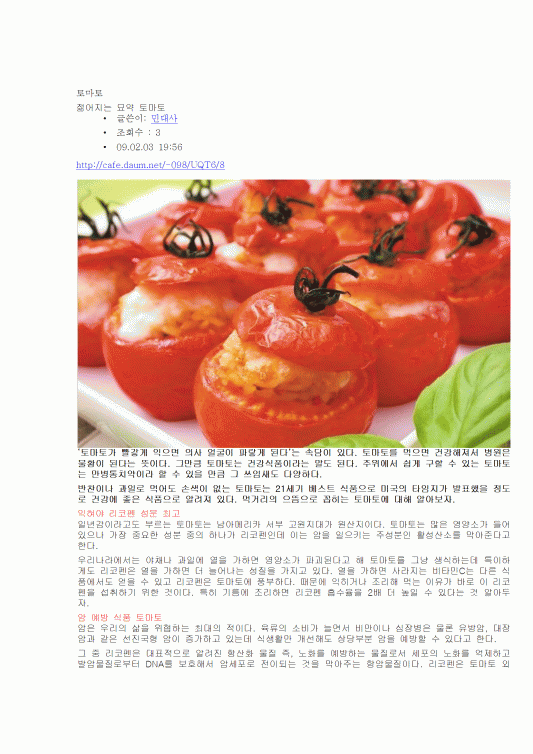 토마토 레포트 자료