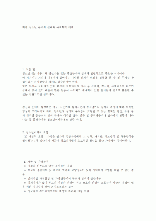 비행 청소년 문제의 실태와 사회복지 대책