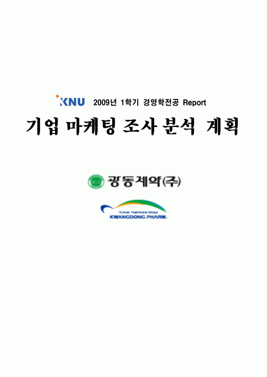 기업마케팅조사분석