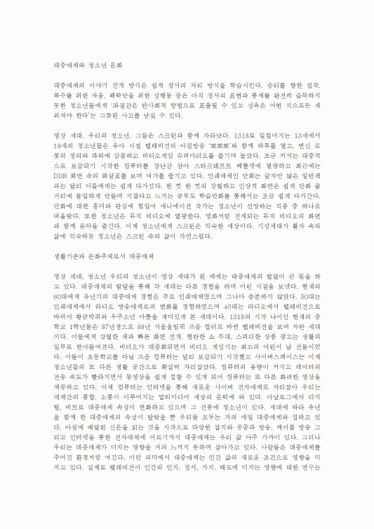 대중매체와 청소년 문화