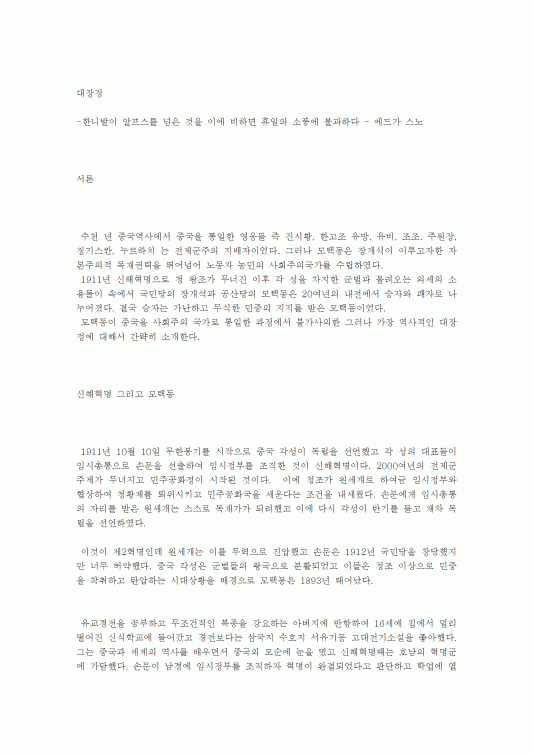 대장정 레포트 자료