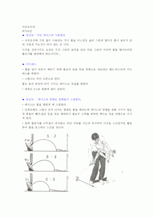 어프로치샷 레포트 자료
