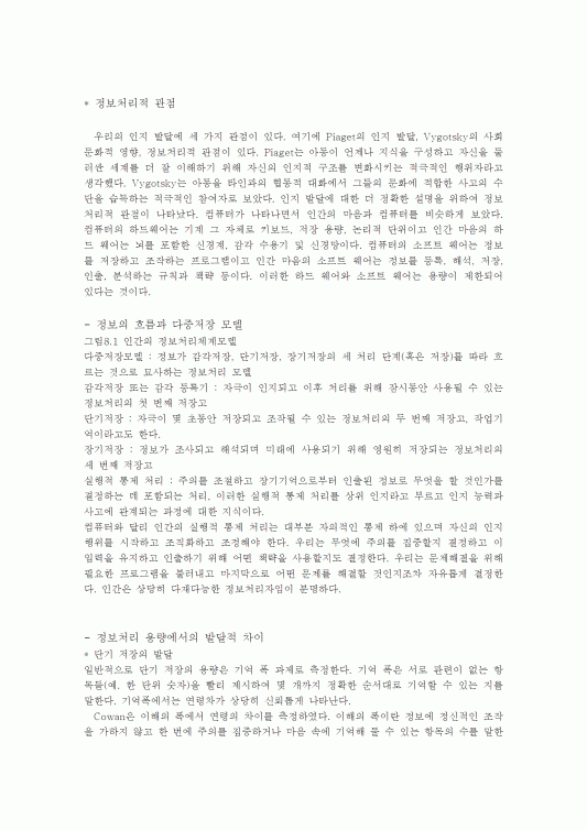 8장 인지발달 정보처리적 관점