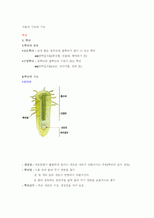 식물의 구조와 기능