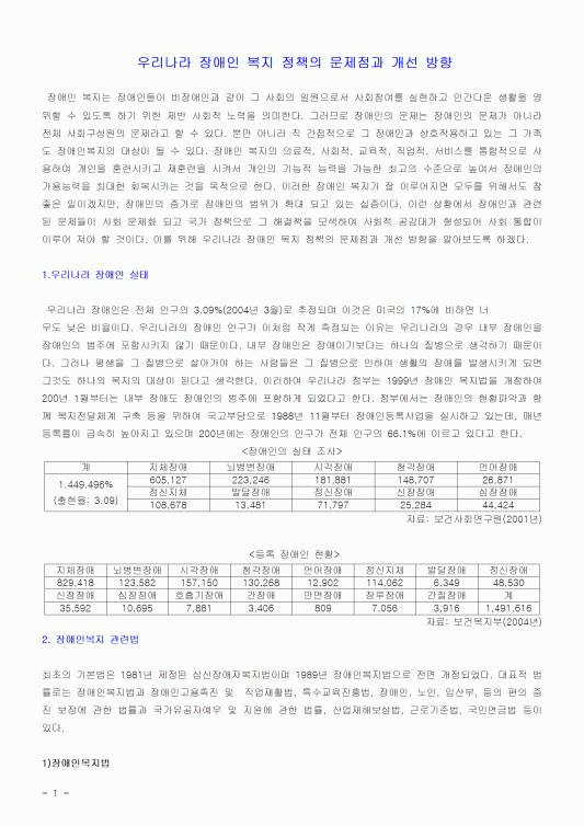 우리나라 장애인 복지 정책의 문제점과 개선 방향