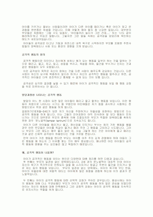 공격적 행동의 아이