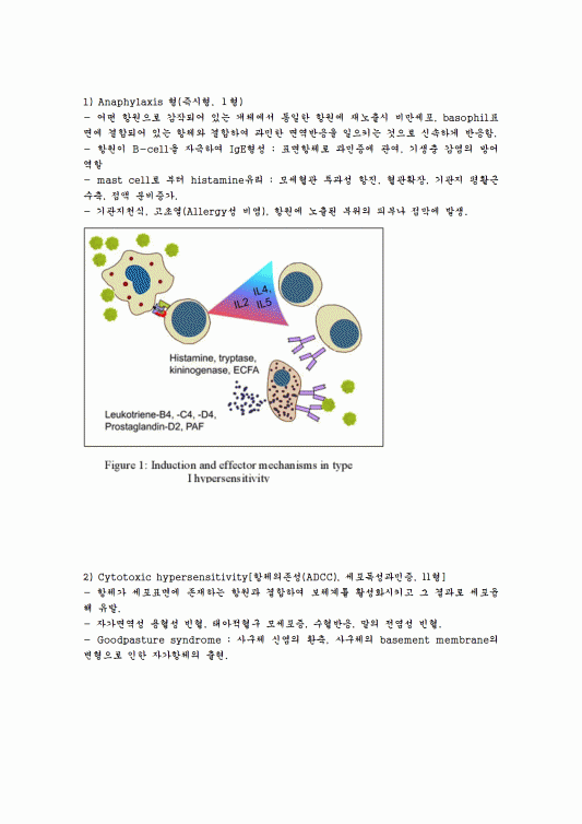 Hypersensitivity 레포트 자료