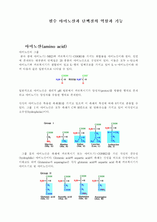필수 아미노산과 단백질의 역할과 기능