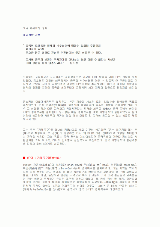 중국 대외개방 정책 외