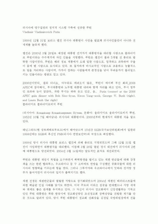 푸틴 레포트 자료