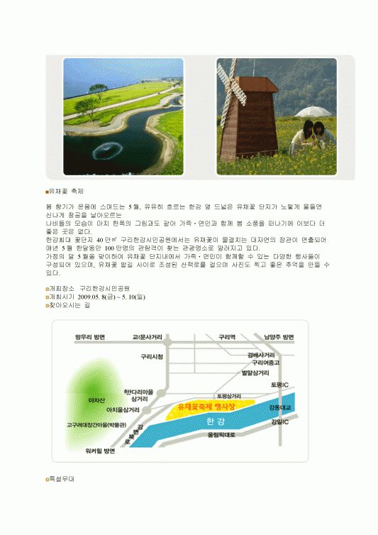 유채꽃 축제 레포트 자료
