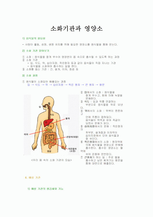 소화기관과 영양소