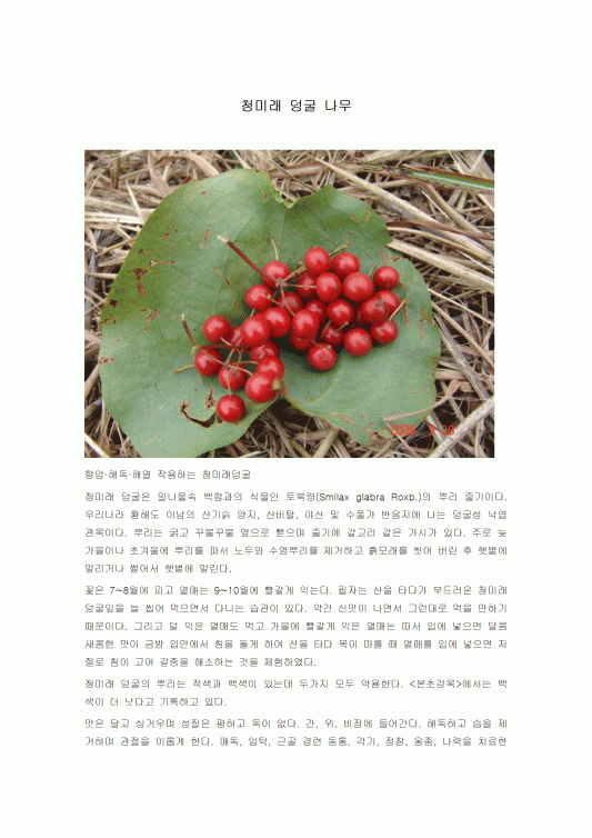 청미레덩쿨나무