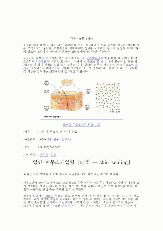약초, 해초,화학,레이저 필링