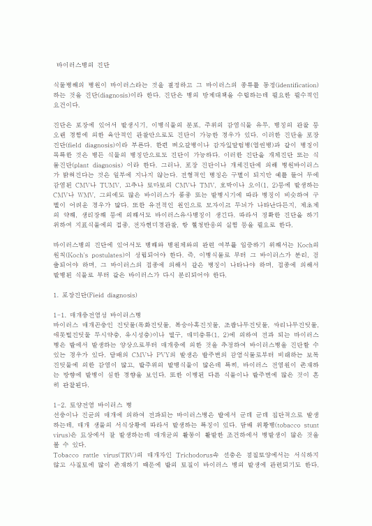 식물바이러스에 의한 농작물 피해