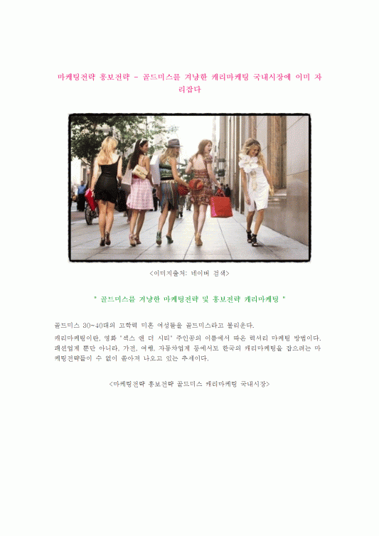 골드미스 된장녀에 대한 마케팅 분석