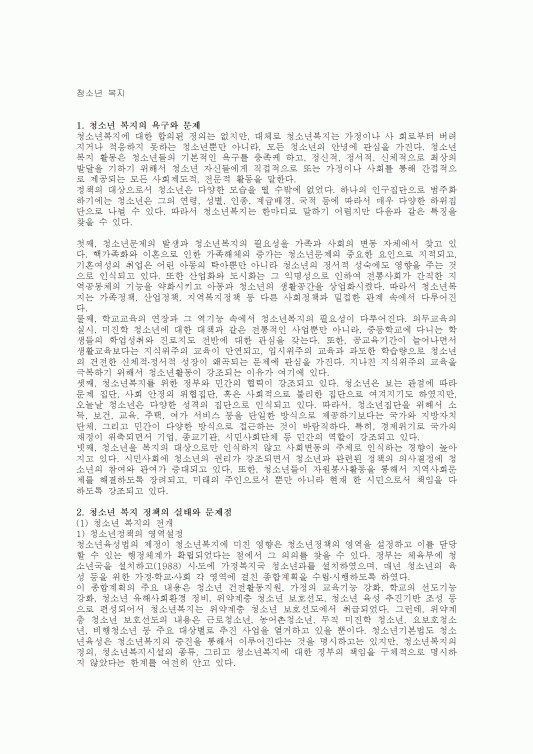 청소년 복지의 문제점과 사례에 대해...