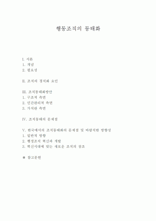행동조직의 동태화