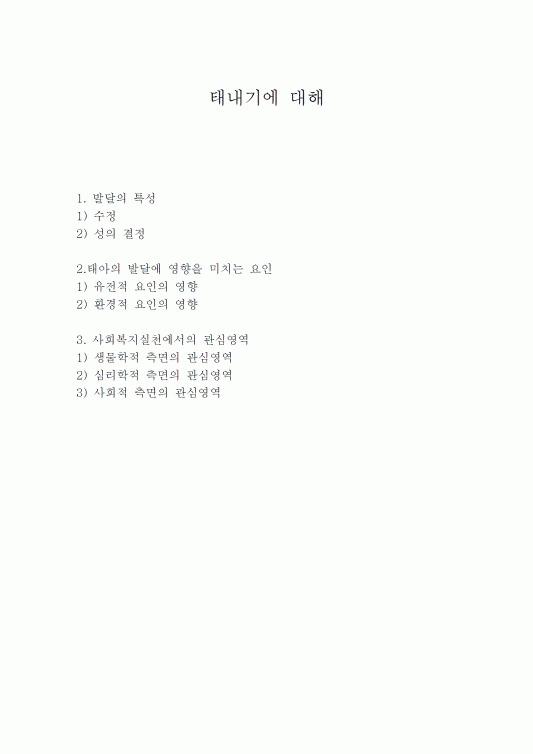 태내기에 대해