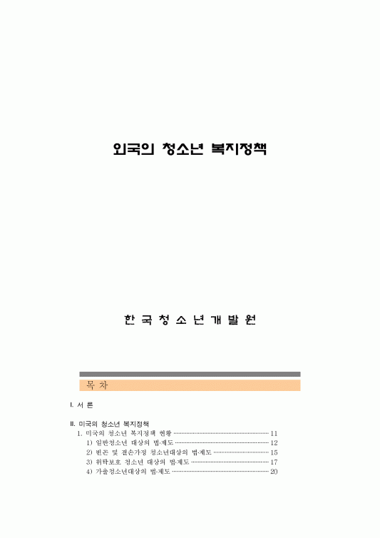 외국의 청소년복지정책과 우리나라에서 시사점 [각나라별]