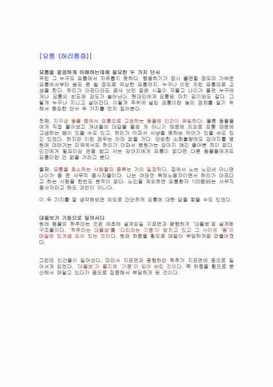 요통 (허리통증)
