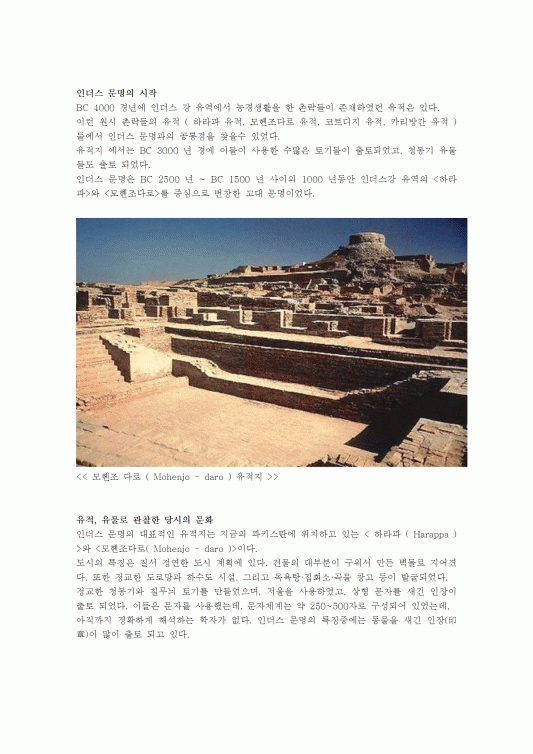 인더스 문명 정리자료