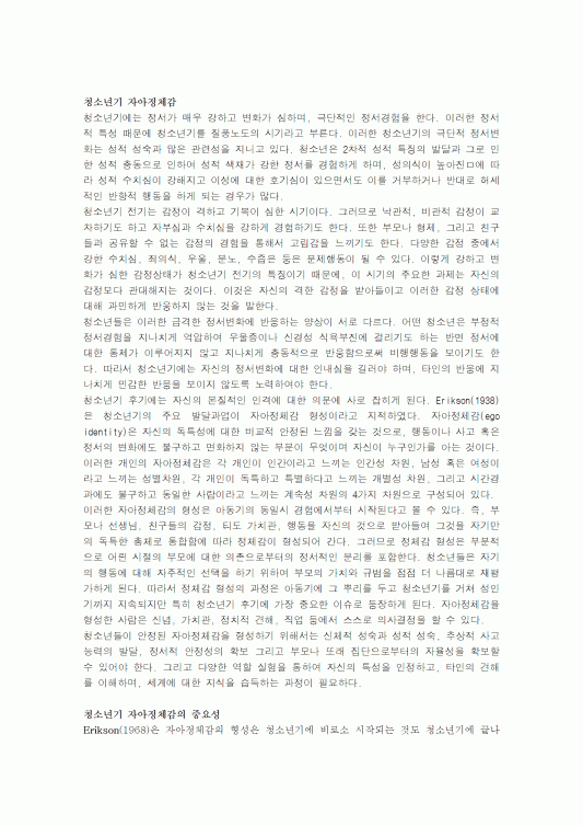 청소년기의 자아정체감 형성과 영향을 주는 요소 정리 및 청소년과 아동관련법 통합방안 의견고찰