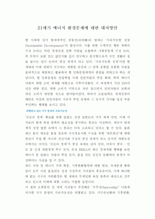 21세기 에너지 환경문제에 대한 대처방안