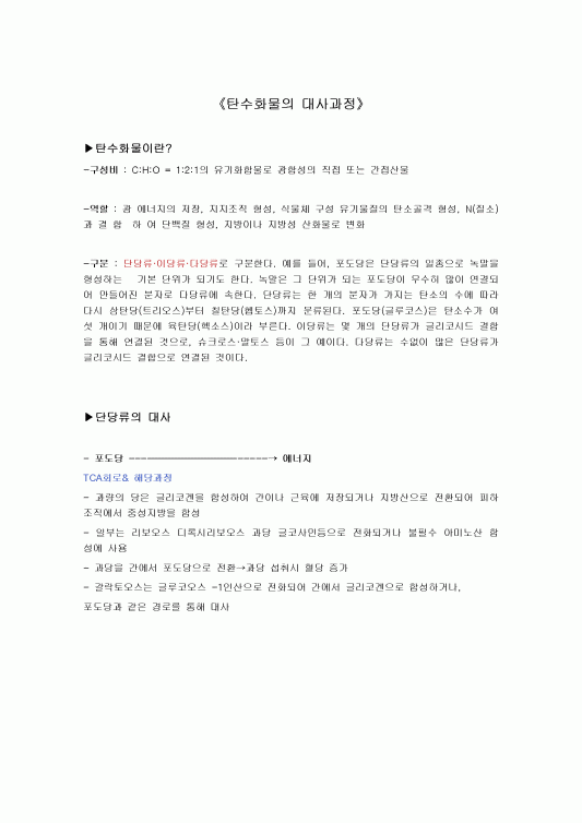 탄수화물의 대사과정