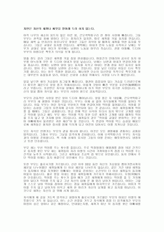 나마의자녀양육법