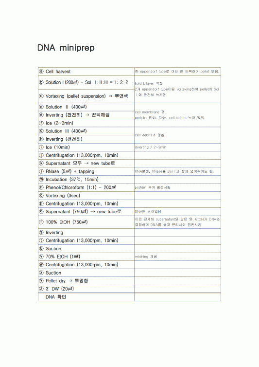 [생명공학] 기본적인 DNA manipulation 실험 방법들