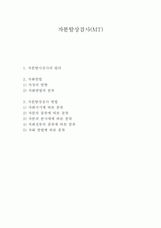 자분탐상검사(MT)