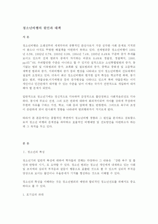 청소년의 비행예방과대책
