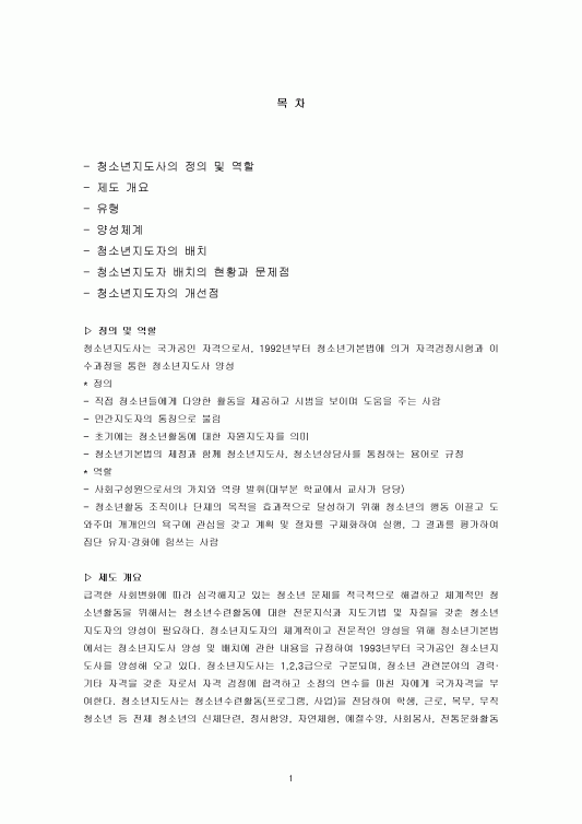 청소년지도자