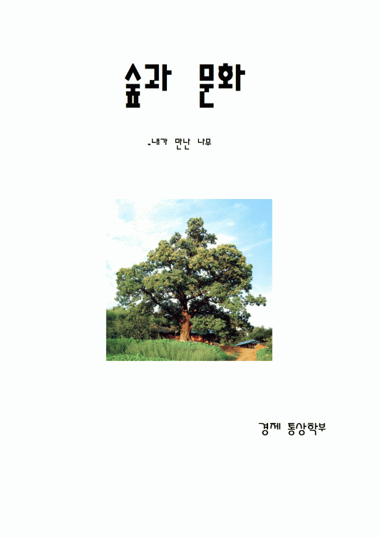 숲과 문화 레포트 자료