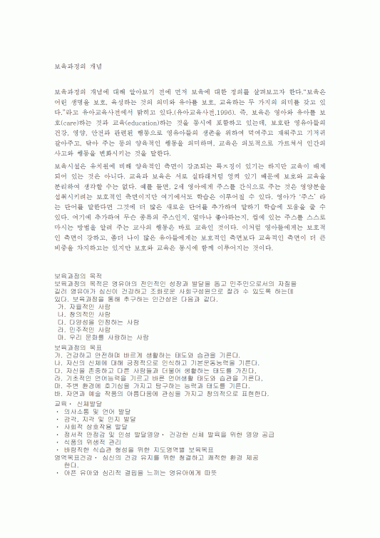 보육과정 [인문과학]