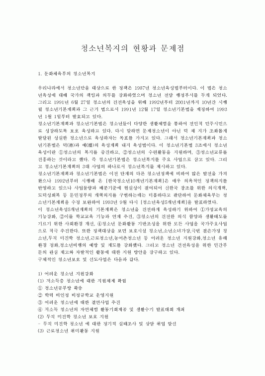 청소년복지 현황과 문제점