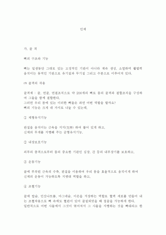 인체의 골격과 근육