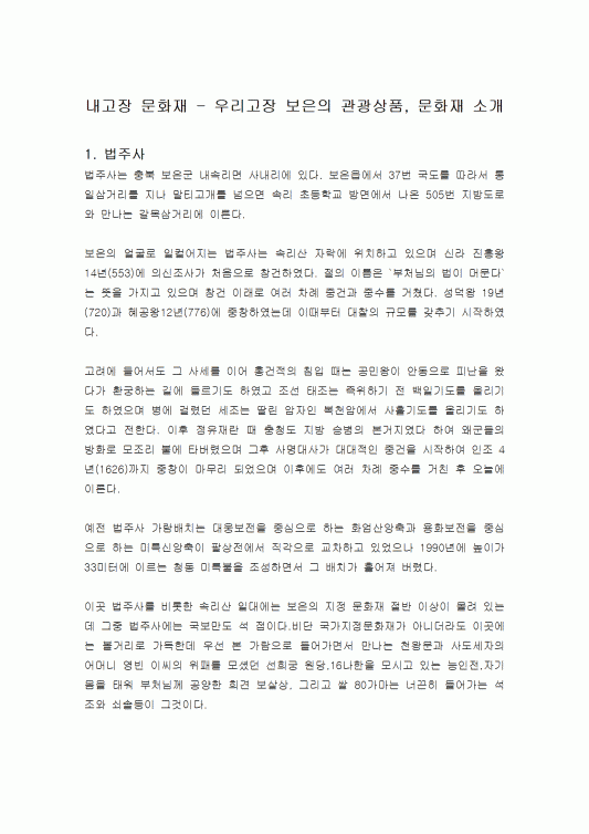 내고장 문화재 - 우리고장 보은의 관광상품, 문화재 소개