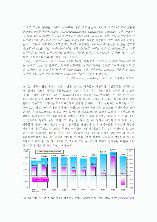 소니 몰락 레포트 자료
