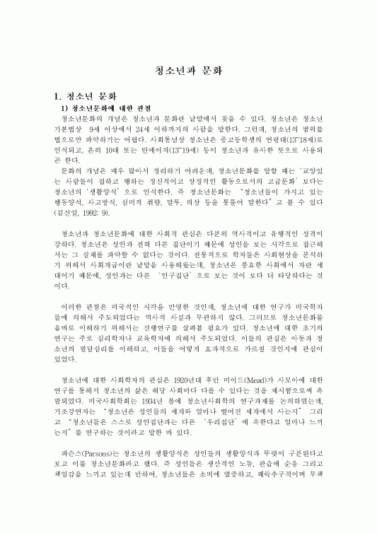 청소년과 문화