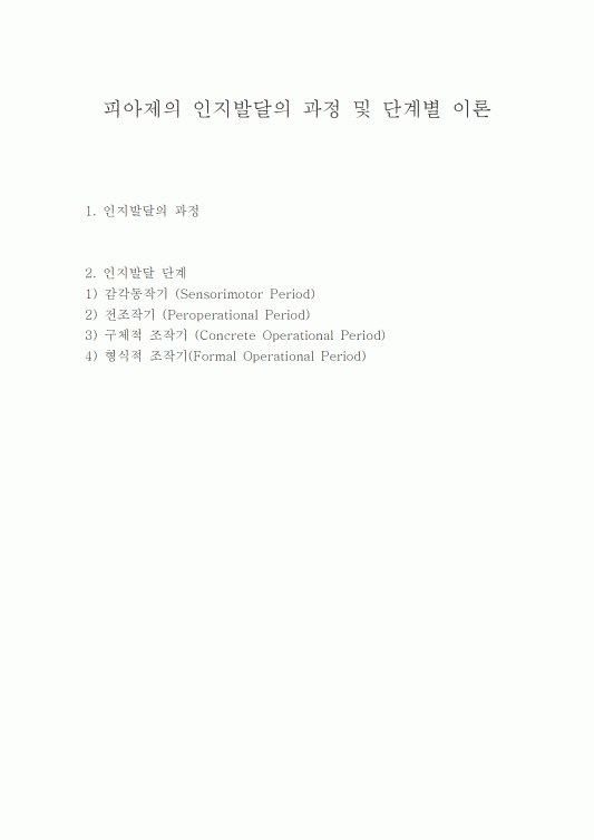 피아제의 인지발달의 과정 및 단계별 이론