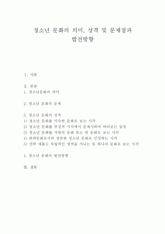 청소년 문화의 의미, 성격 및 문제점과 발전방향