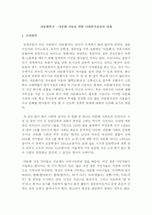 다문화복지 레포트 자료