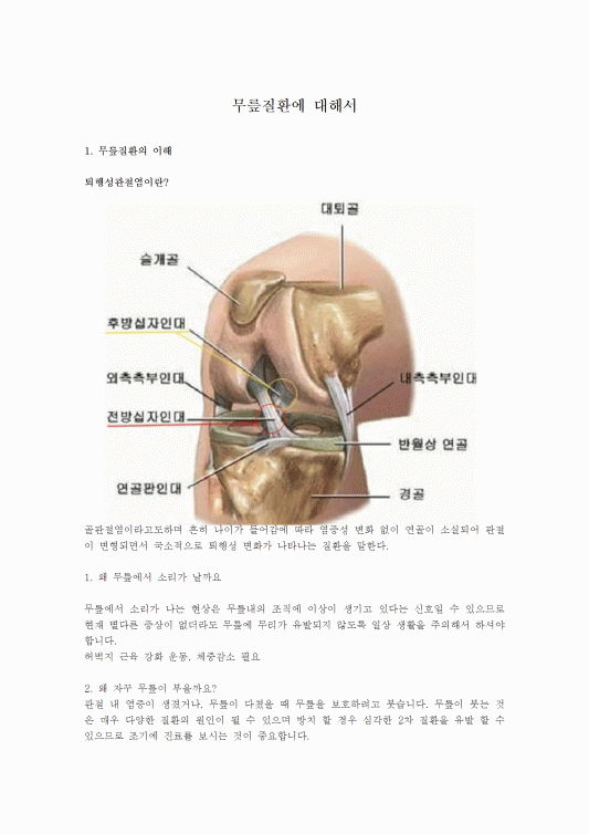 무릎질환에 대해