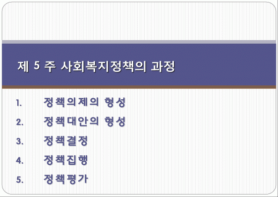 사회복지정책의 과정 [사회복지]