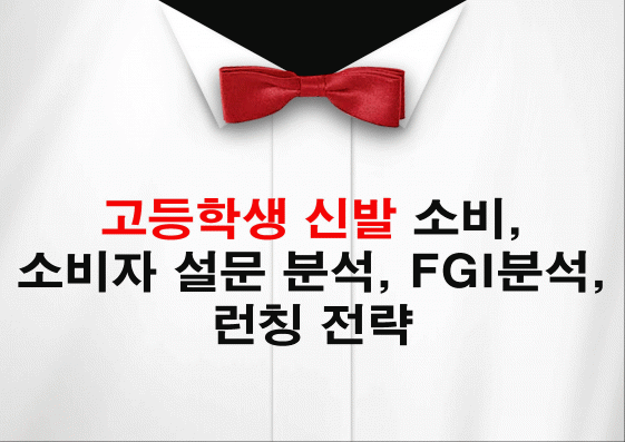 고등학생 신발 소비, 소비자 설문 분석, FGI분석, 런칭 전략