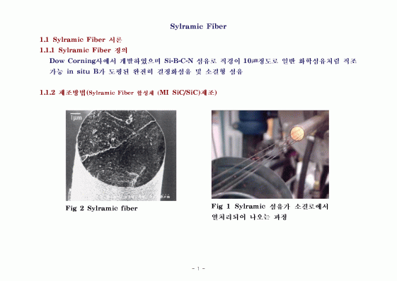 복합재료(Sylramic Fiber) 조사